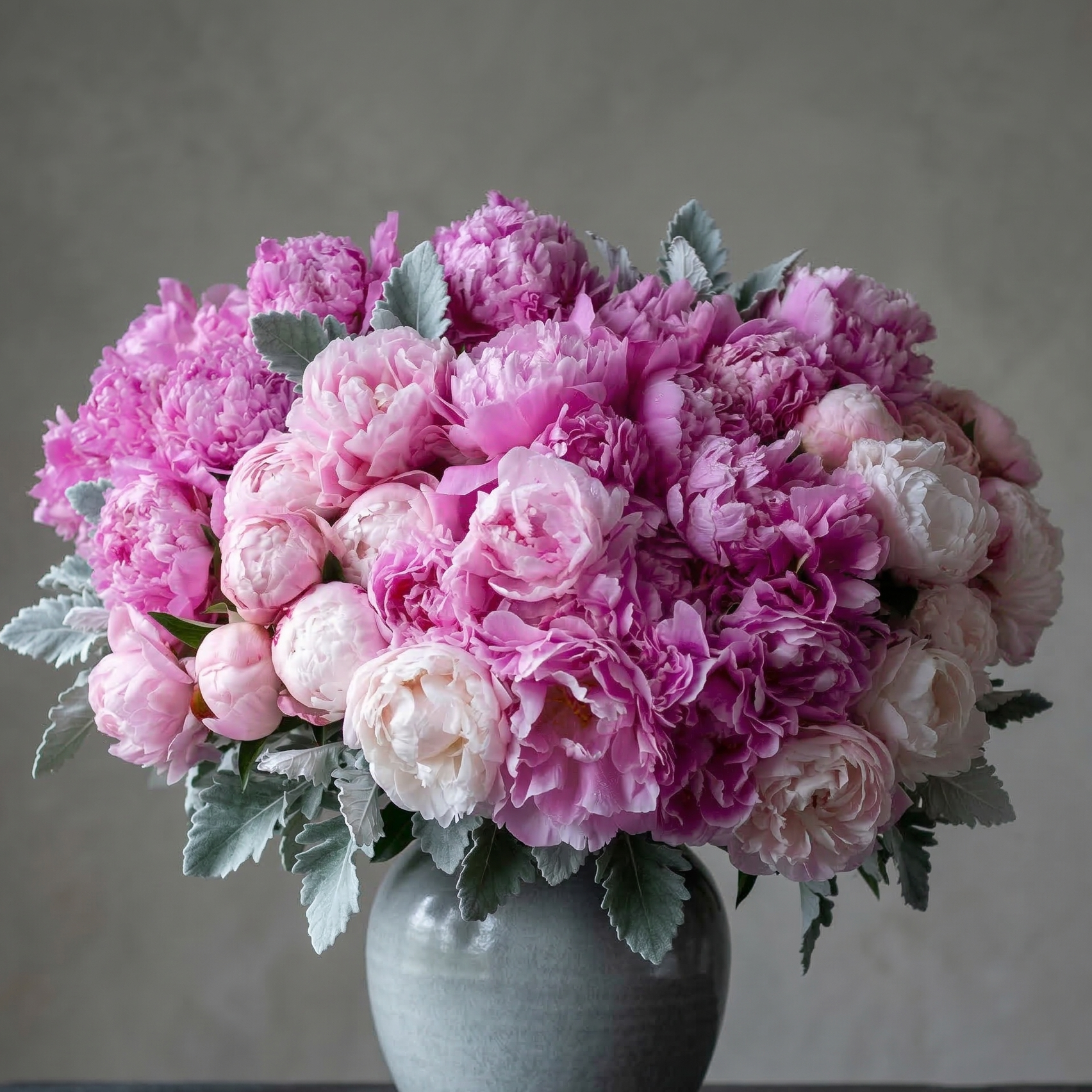 Peony Flower Meaning & Symbolism: Colors & Care | Pink Clover
